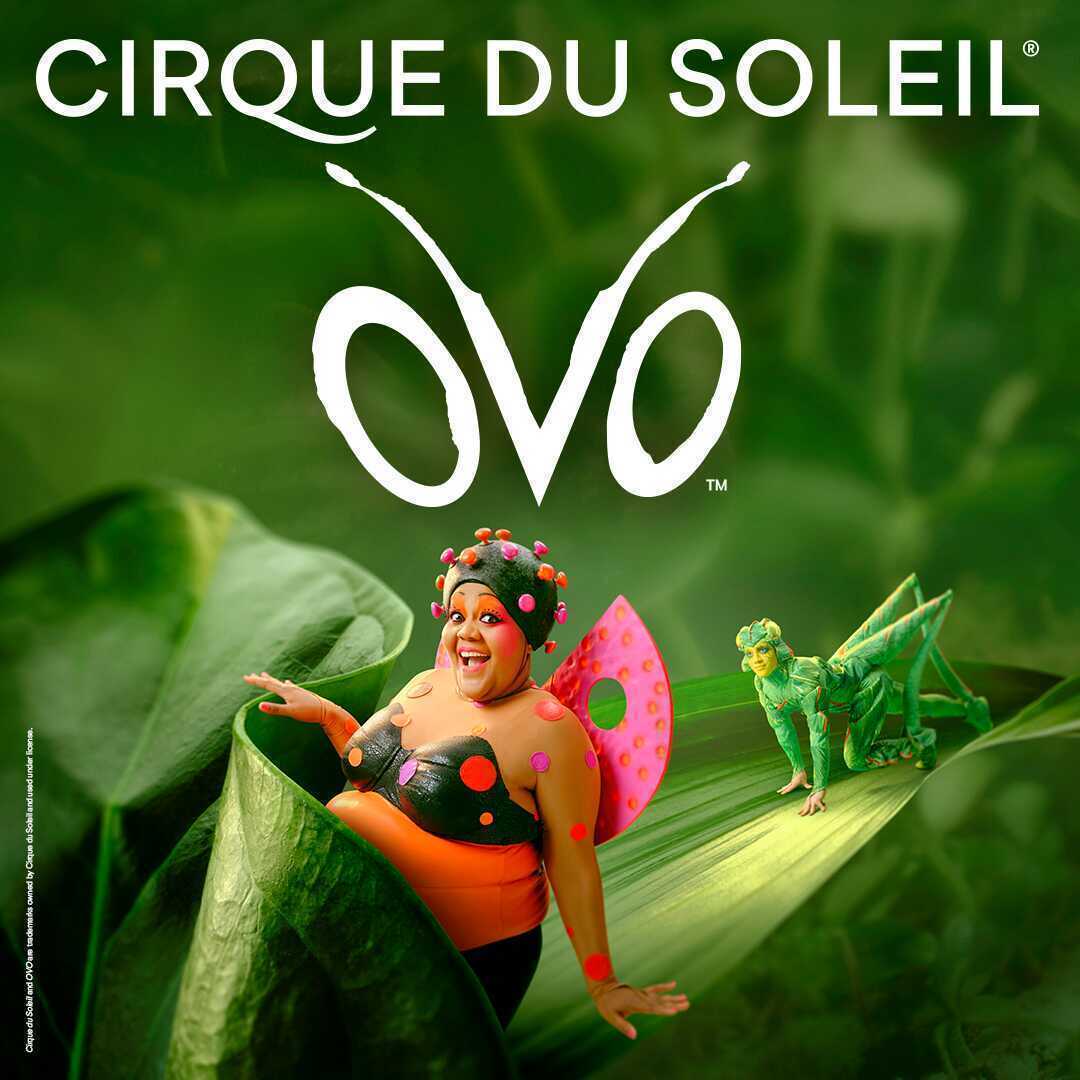 OVO - Cirque du Soleil à Londres - Spectacles à Londres